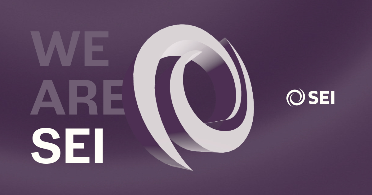 Who Is SEI? | Management Consulting & Business Strategy